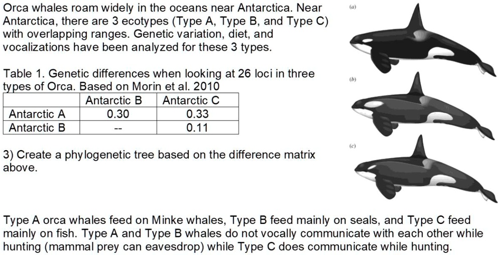 SOLVED: Orca whales roam widely in the oceans near Antarctica. Near ...