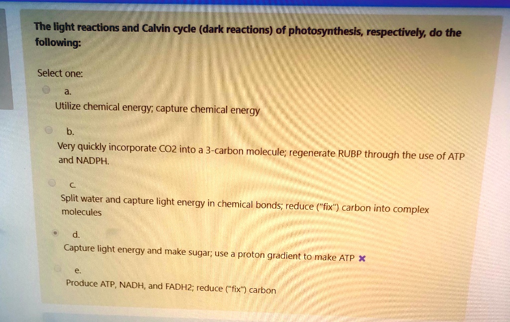 SOLVED:The light reactions and Calvin cycle (dark reactions) of ...