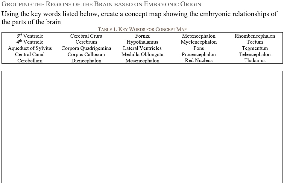 GROUPING THE REGIONS OF THE BRAIN BASED ON EMBRYONIC ORIGIN Using the ...