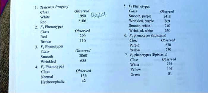 SOLVED: 1. Testcross Progeny Class: White Red 2. F₂ Phenotypes Class ...