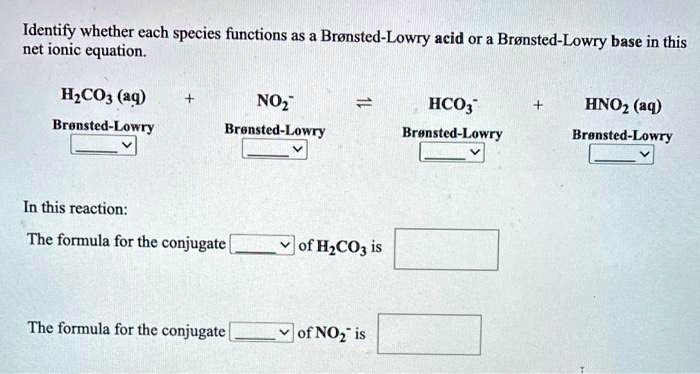 Identify whether each species functions as a Bronsted-Lowry acid or a ...