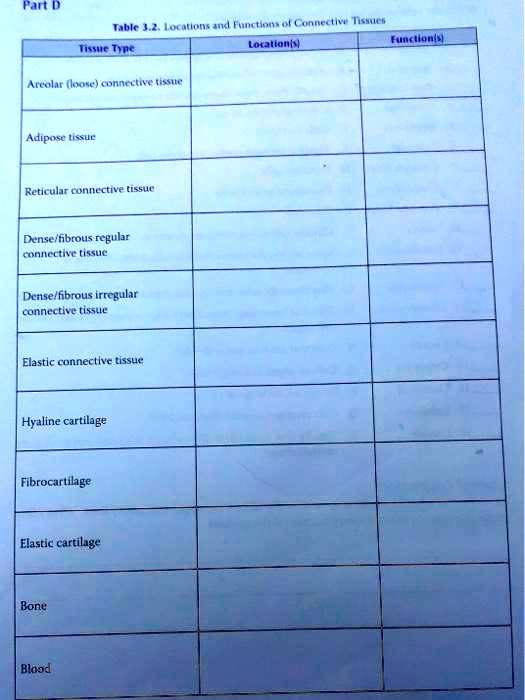 part d table 32 locations and functions of connective tissues lorations functions tissue type ...
