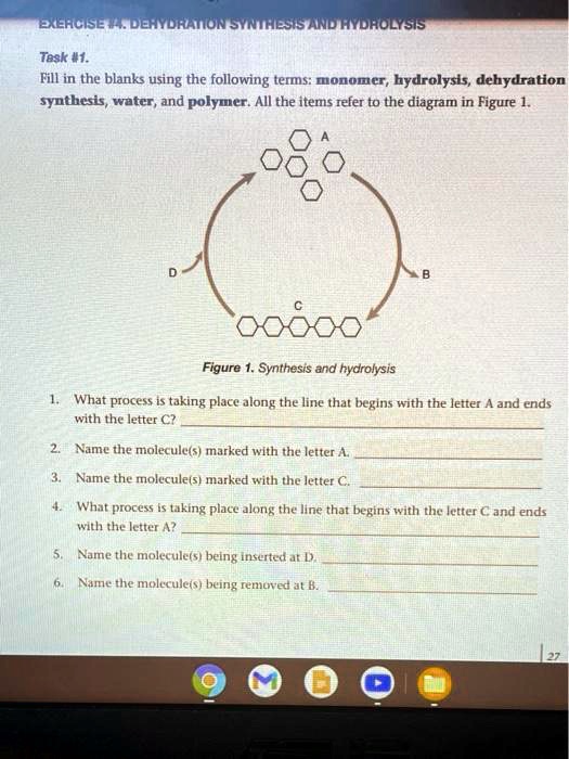 tesk 4 fill in the blanks using the following ters monomer hydrolysis ...
