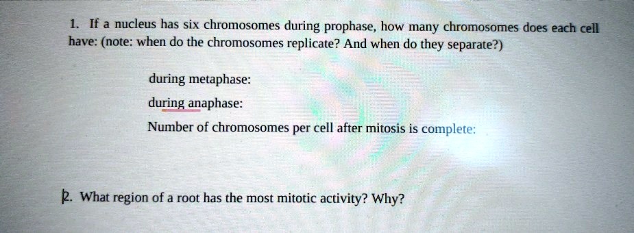 SOLVED: If a nucleus has six chromosomes during prophase, how many ...