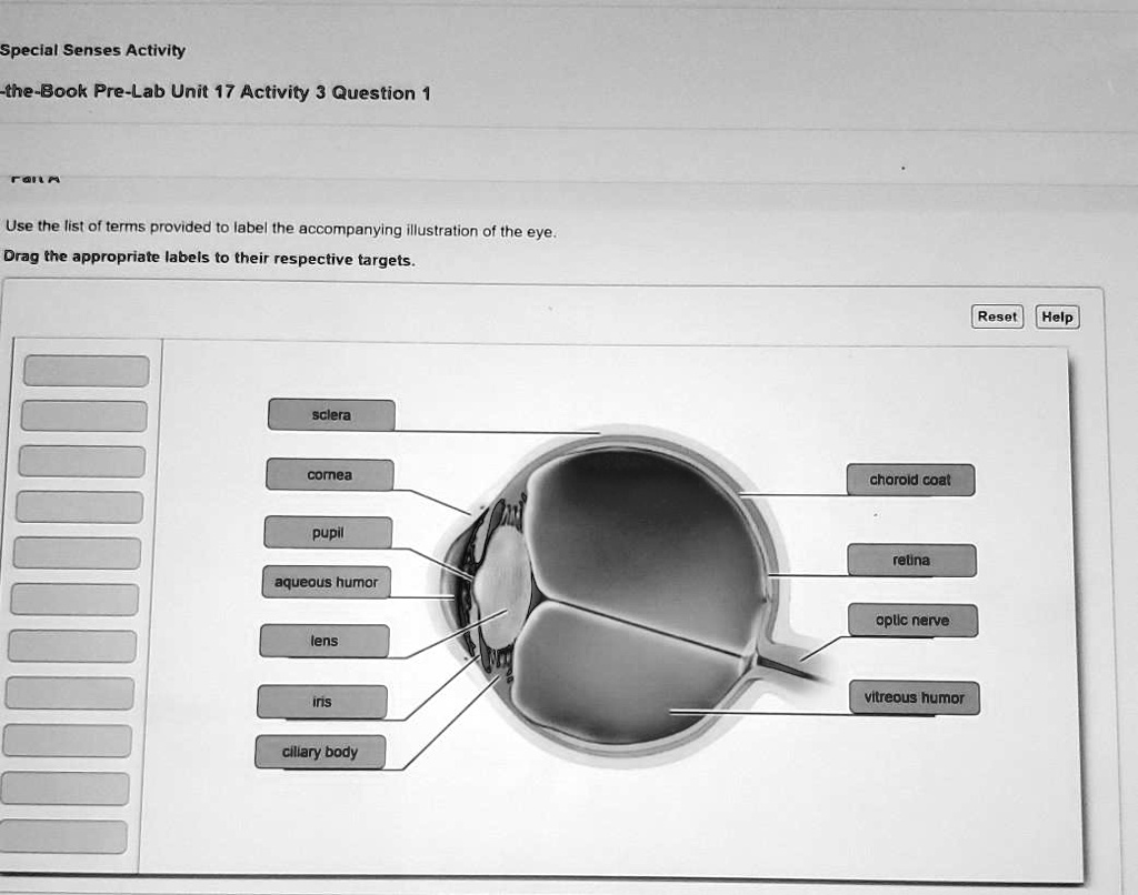Special Senses Activity -The Book Pre-Lab Unit 17 Activity 3 Question 1 ... Special Senses Activity -The Book Pre-Lab Unit 17 Activity 3 Question 1 ...