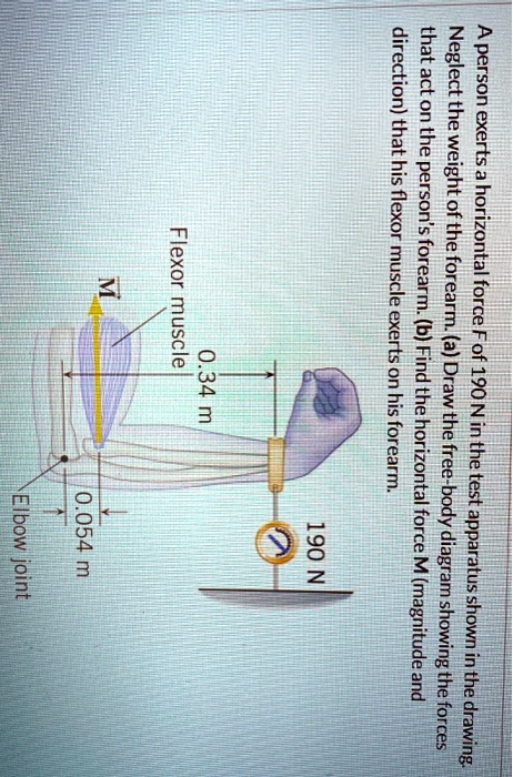 direction that h h exerts h the weight of the forearm flexor horizontal ...