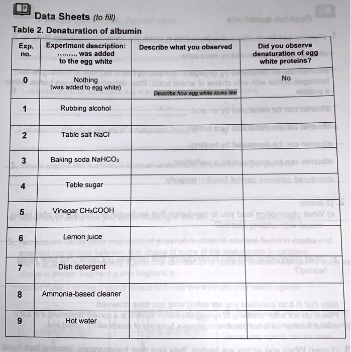 SOLVED: Data Sheets (to fill) Table 2. Denaturation of albumin Exp ...