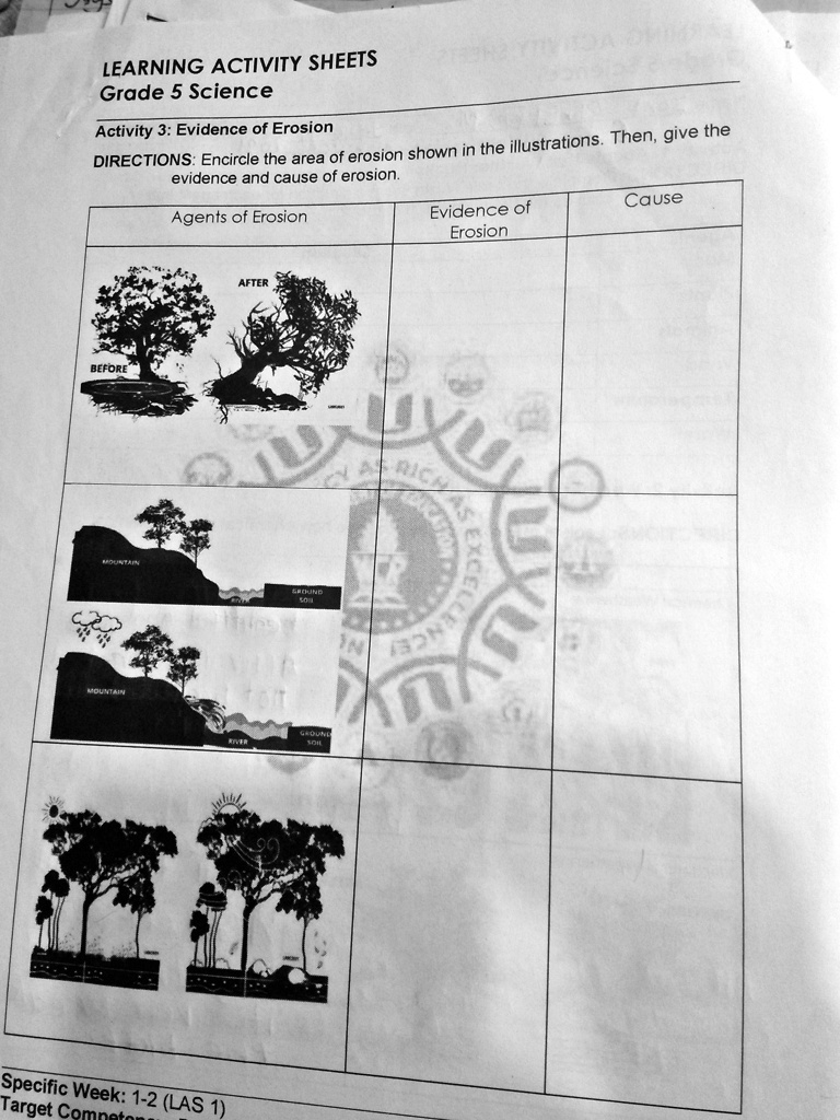 LEARNING ACTIVITY SHEETS Grade 5 Science Activity 3: Evidence of ...
