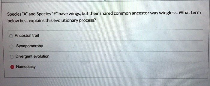 SOLVED: Species "A" and Species "F= have wings, but their shared common ...