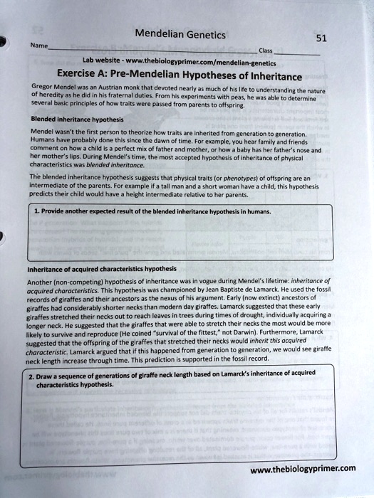 SOLVED: Mendelian Genetics Wainc Lab website - www.thebiologyprimer.com ...