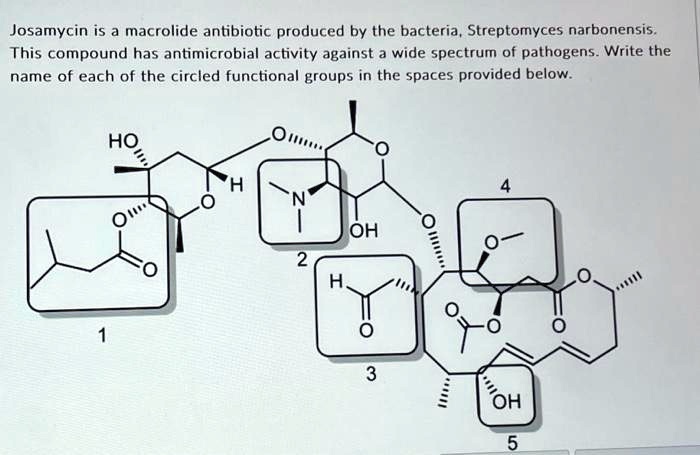 Josamycin is a macrolide antibiotic produced by the bacteria ...