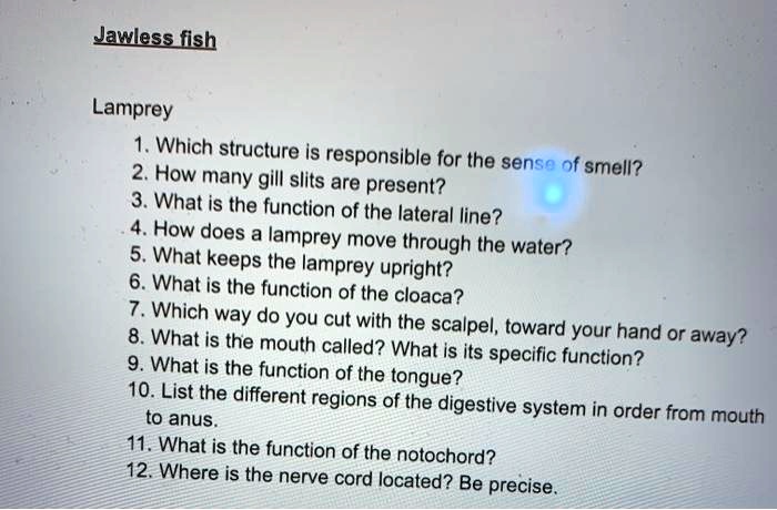 SOLVED: Jawless fish Lamprey Which structure is responsible for the 2 ...