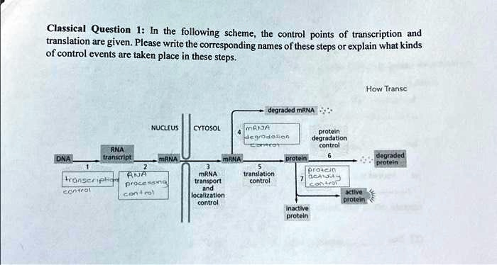 SOLVED: Explain the steps of control events are taken place in these ...
