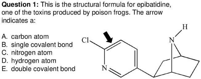 question 1 this is the structural formula for epibatidine one of the ...