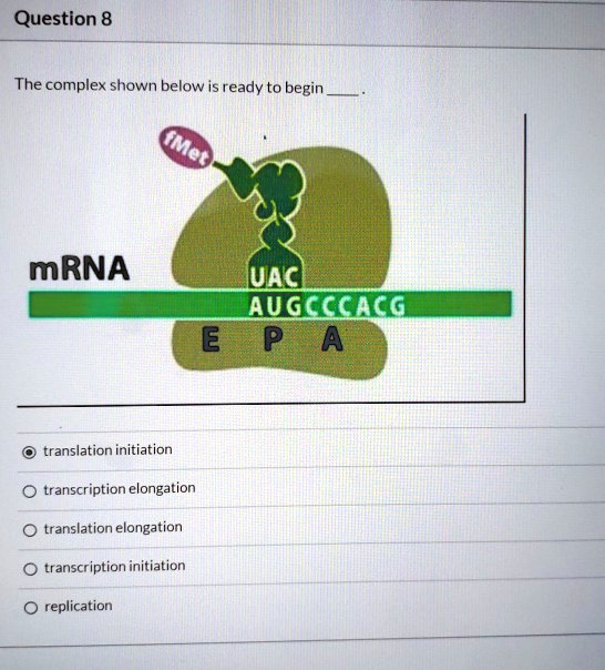 SOLVED: The complex shown below is ready to begin: IMo mRNA VAC AUGCCCG ...
