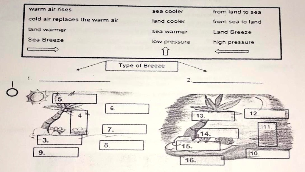 Activity 1: Air Tracing! Directions: 1. For Numbers 1 and 2, identify ...