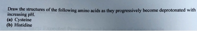SOLVED: Draw the structures of the following amino acids as they progressively become ...