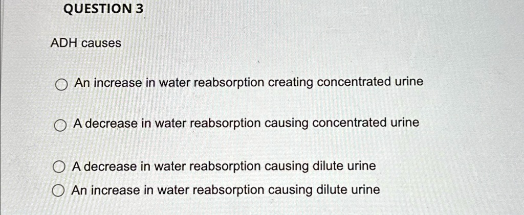 SOLVED: Question 3 ADH causes An increase in water reabsorption creating concentrated urine A ...