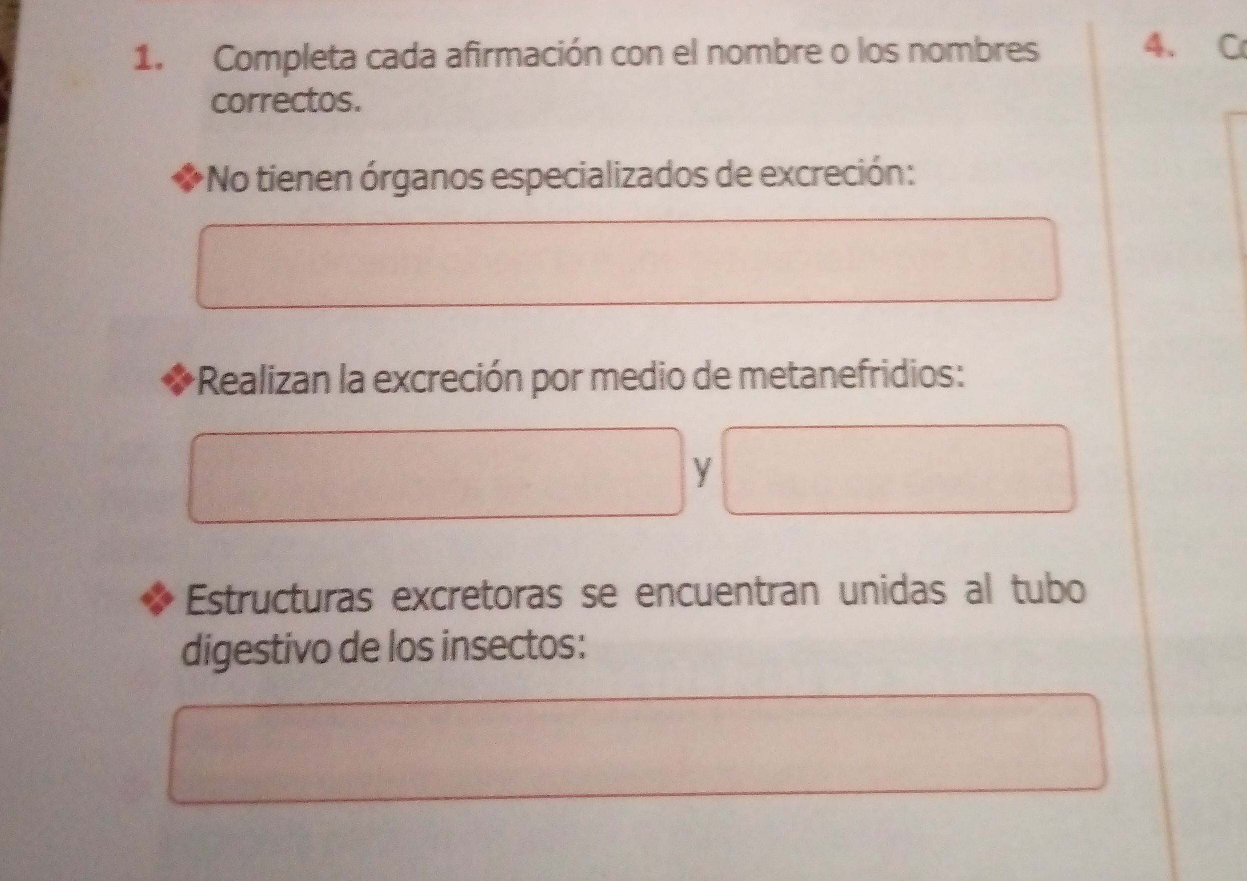 1. Completa cada afirmación con el nombre o los nombres correctos. No ...