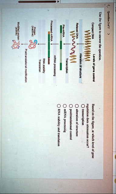 question 3 of 7 use the figure to answer the question levels of gene ...