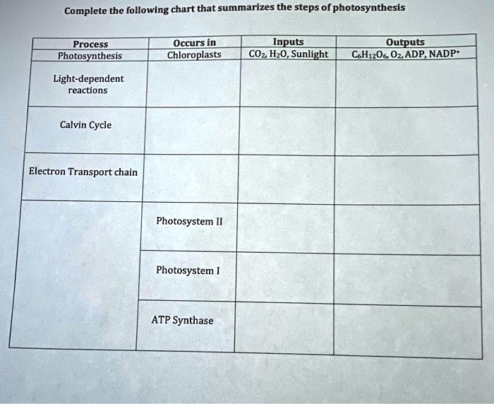 SOLVED: Complete the following chart that summarizes the steps of ...
