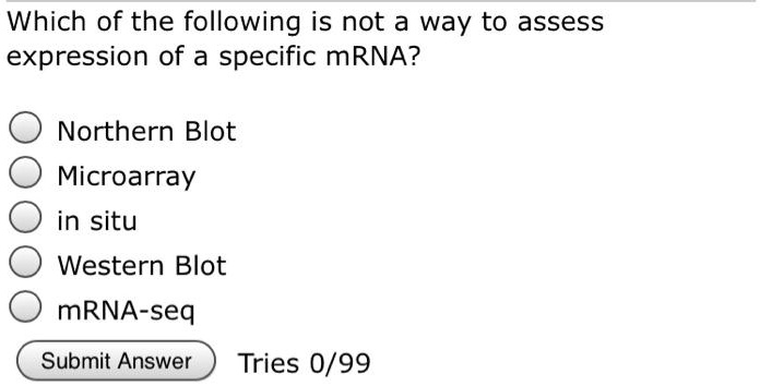 Solved Which Of The Following Is Not A Way To Assess Expression Of A Specific Mrna Northern