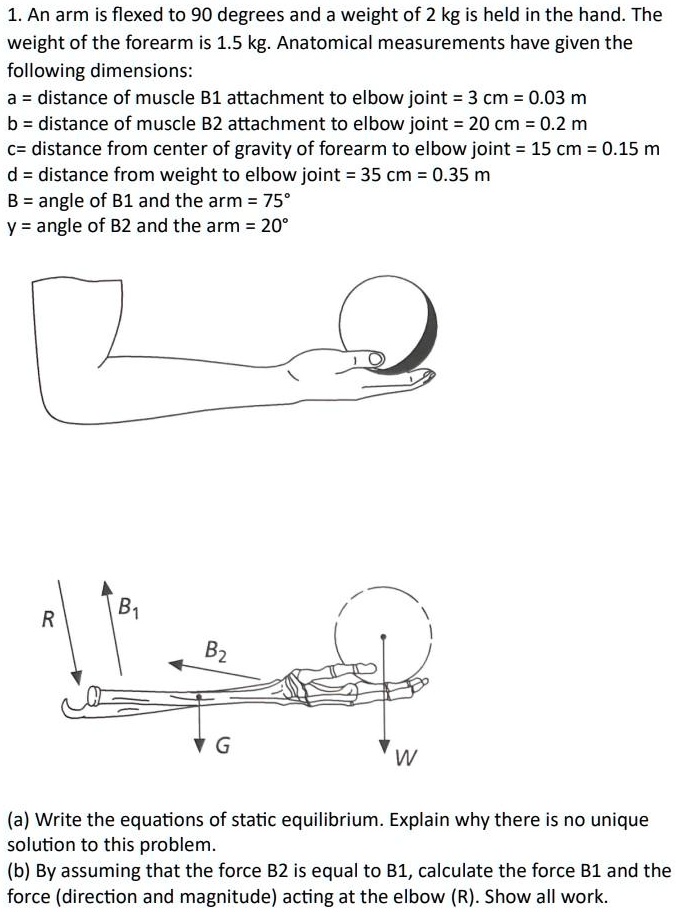 Video Solution 1 An Arm Is Flexed To 90 Degrees And A Weight Of 2 Kg Is Held In The Hand The
