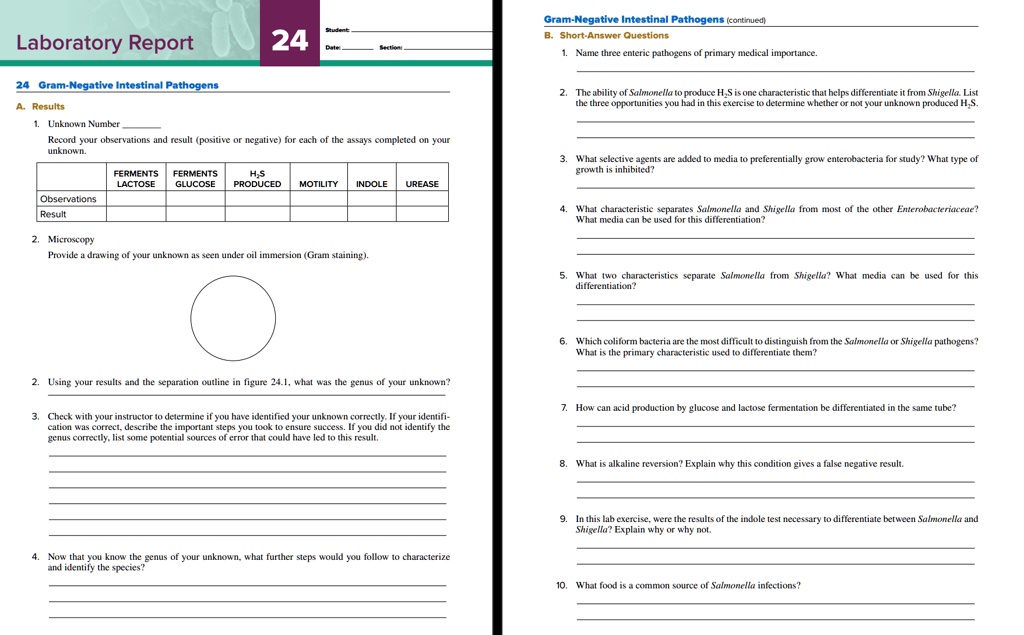 SOLVED: Texts: Gram-Negative Intestinal Pathogens (continued) B. Short ...