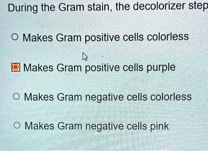 SOLVED: During the Gram stain, the decolorizer step: - Makes Gram ...