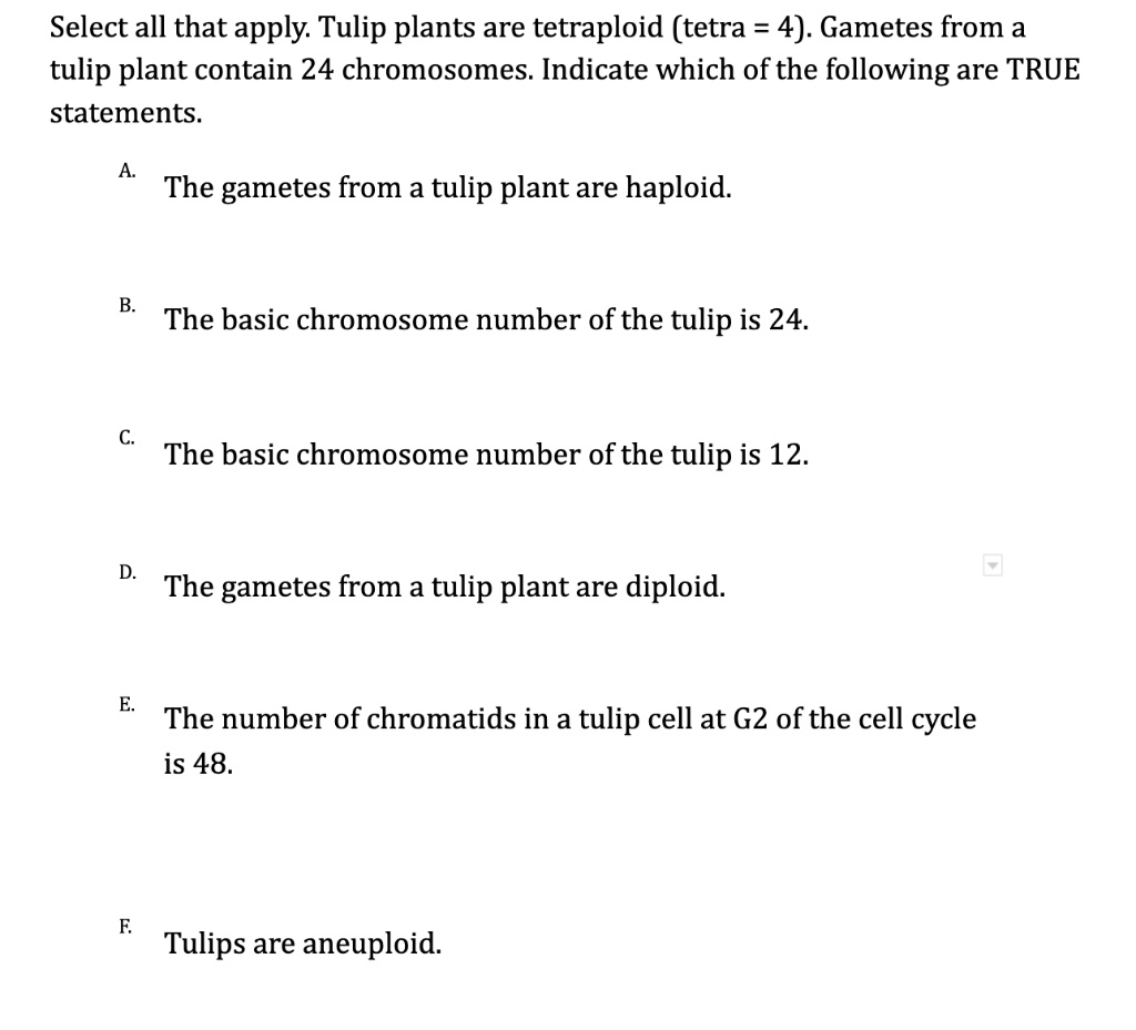 Select all that apply. Tulip plants are tetraploid (tetra = 4). Gametes ...