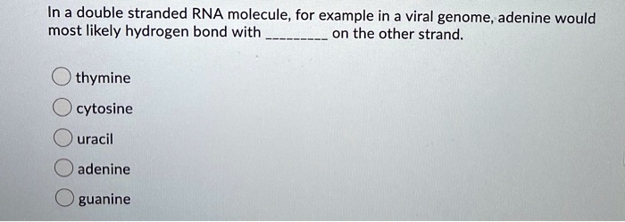 In a double stranded RNA molecule; for example in a viral genome ...