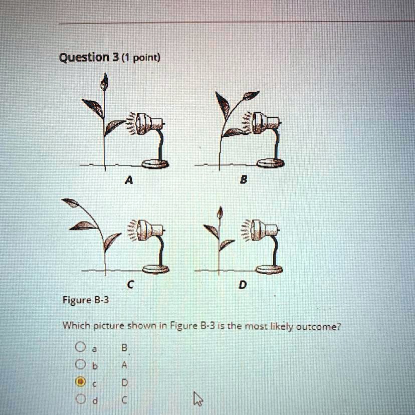 SOLVED: 'Which picture shown in figure b-3 is the most likely outcome ...