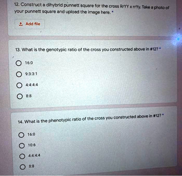 12 construct a dihybrid punnett square for the cross rryy xrryy take a ...