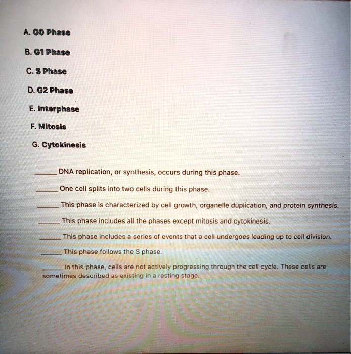 A. G0 Phase B. G1 Phase C. S Phase D. G2 Phase E. Interphase F. Mitosis ...