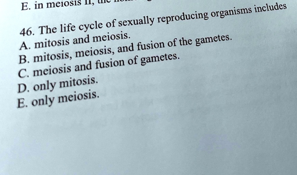 E. in meiosis II, 46. The life cycle of sexually reproducing organisms ...