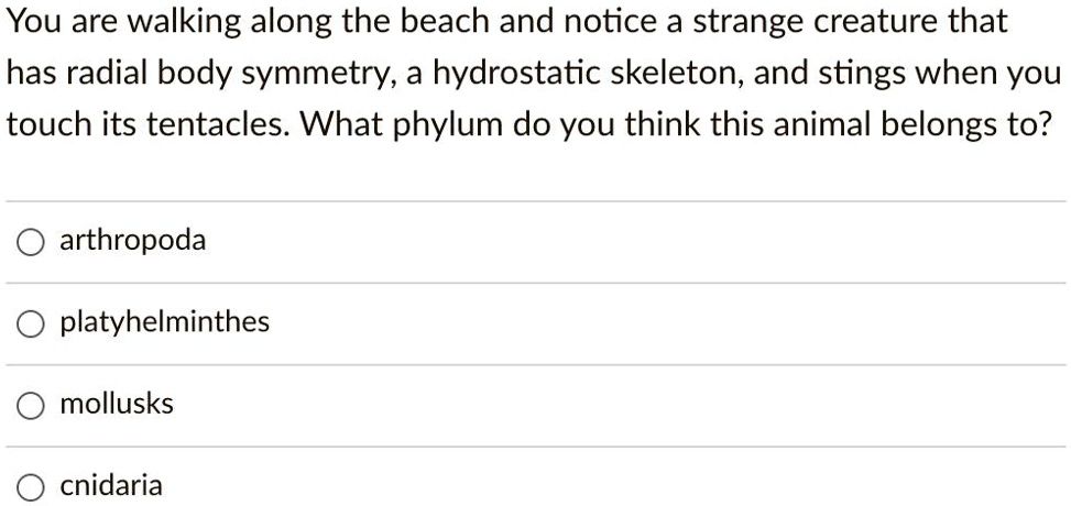 SOLVED: You are walking along the beach and notice a strange creature ...