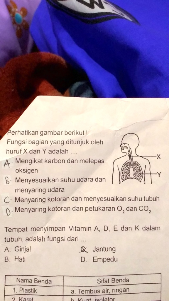 SOLVED: help....................... Perhatikan gambar berikut Fungsi ... SOLVED: help....................... Perhatikan gambar berikut Fungsi ...