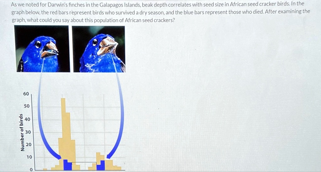as we noted for darwins finches in the galapagos islands beak depth ...