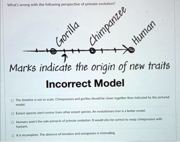 SOLVED: What's wrong with the following perspective of primate ...