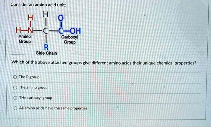 SOLVED: Consider an amino acid unit: H H-N- Amino Group C=O Carbonyl ...