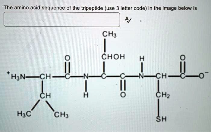 SOLVED:The amino acid sequence of the tripeptide (use 3 letter code) in ...