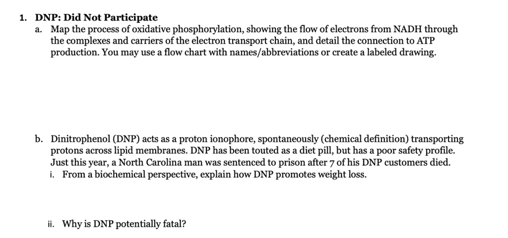 SOLVED: DNP: Did Not Participate Map the process of oxidative ...