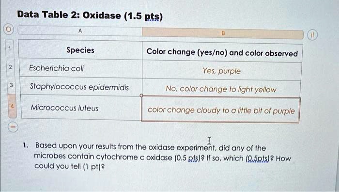 SOLVED: Data Table 2: Oxidase (1.5 pts) A Species Color change (yes/no ...