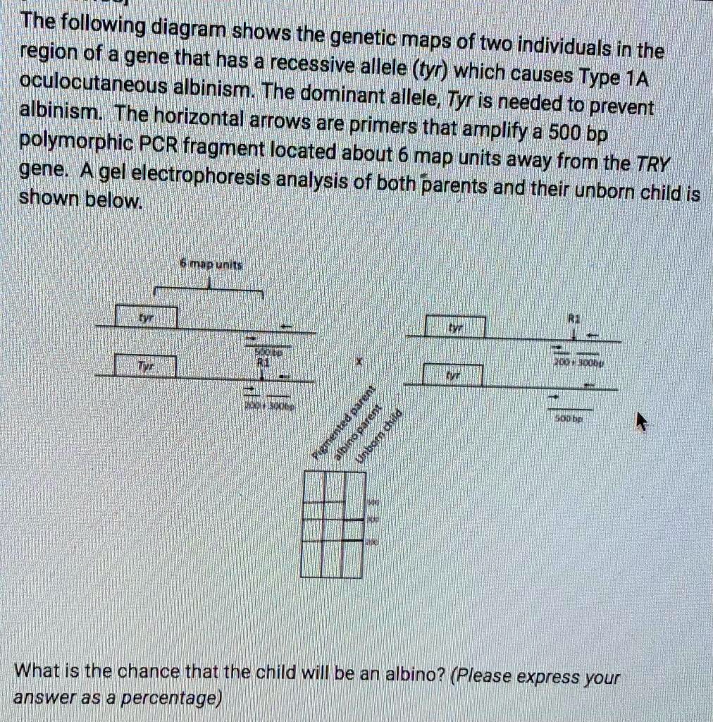 SOLVED: The following 'diagram shows the genetic maps of two ...