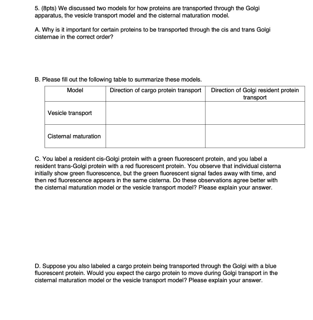 SOLVED: 5. (8pts) We discussed two models for how proteins are ...
