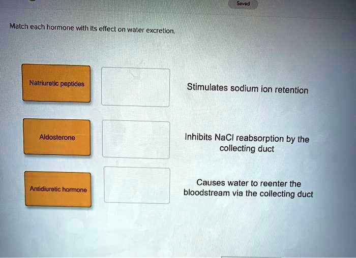 Match each hormone with its effect on water excretion Natriuretic ...