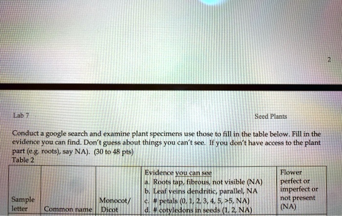 SOLVED: Lab: Seed Plants Conduct a Google search and examine plant ...