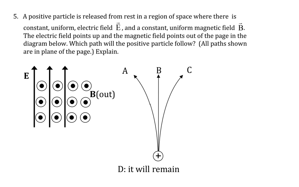 SOLVED: 5. A positive particle is released from rest in a region of space where there is ...