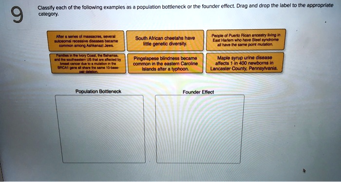 classity each of the following examples category populatlon botileneck ...
