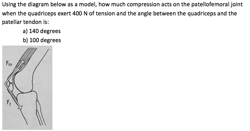 Using the diagram below as a model, how much compression acts on the ...